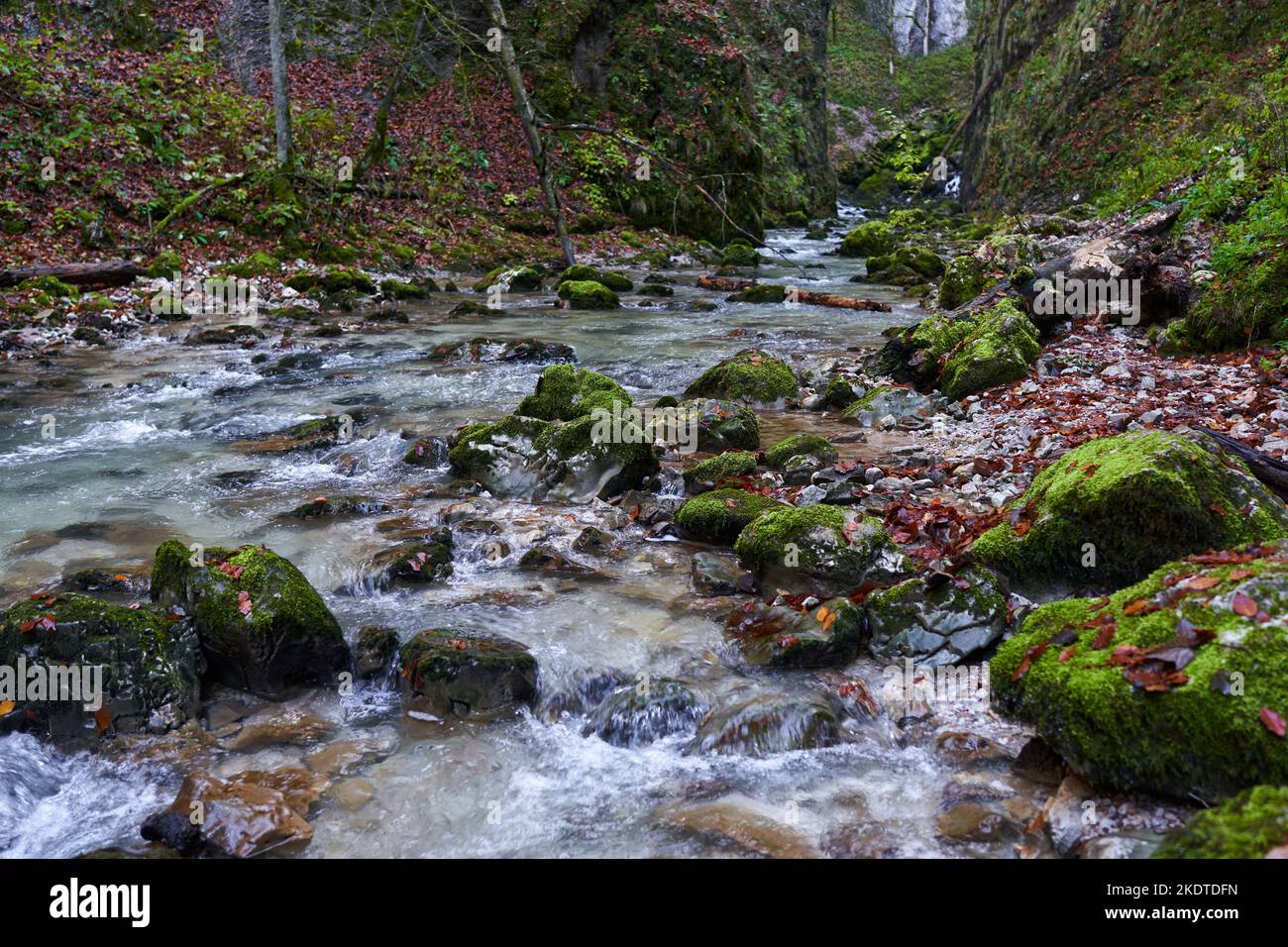 River rapids through a canyon in a mountain with lush vegetation Stock ...