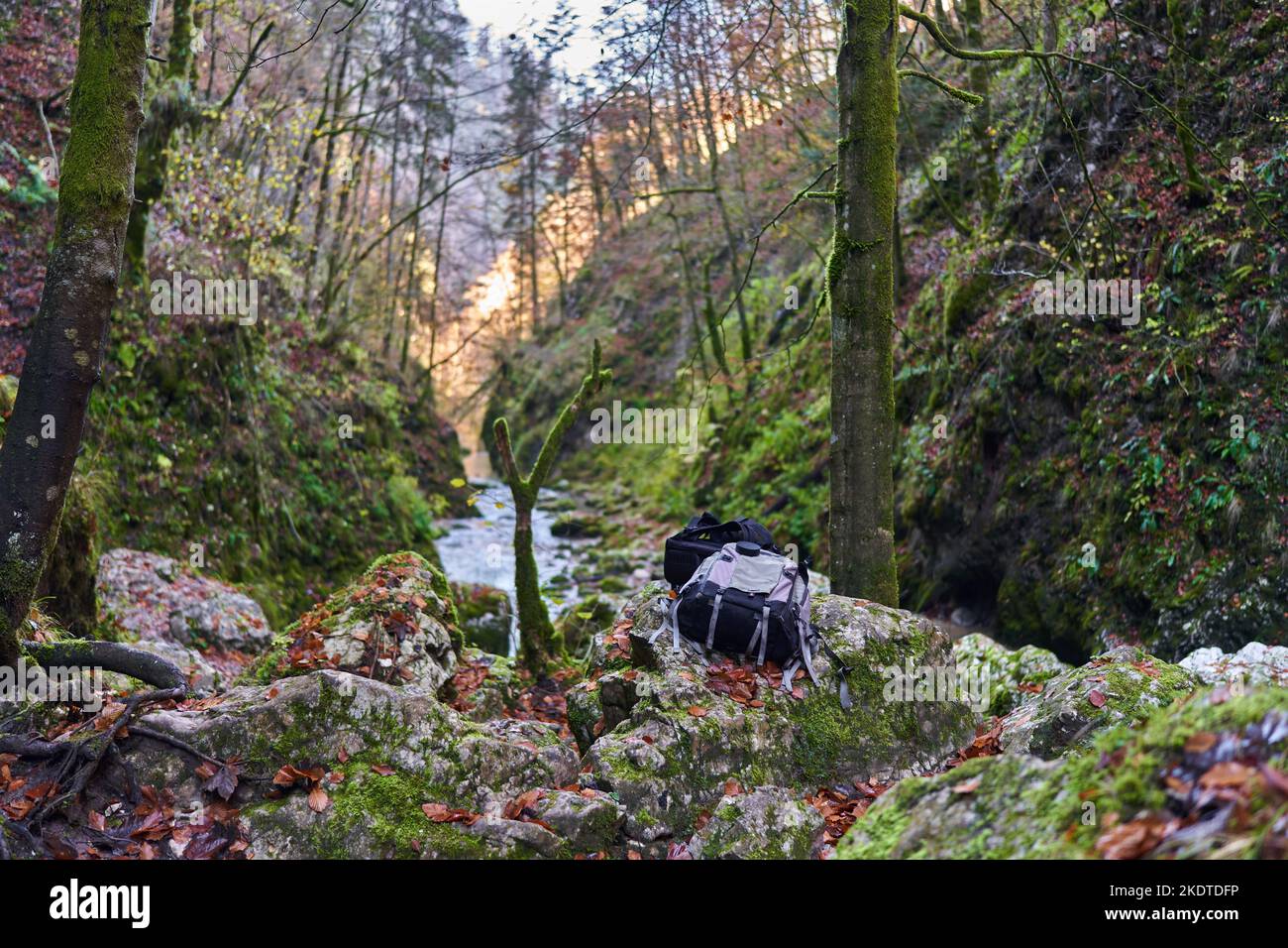 River rapids through a canyon in a mountain with lush vegetation Stock ...