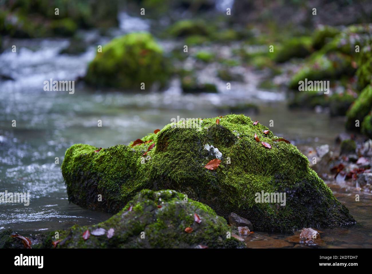 River rapids through a canyon in a mountain with lush vegetation Stock ...