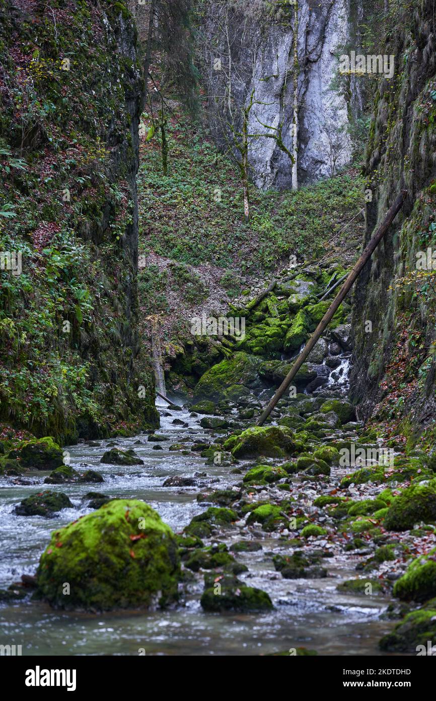 River rapids through a canyon in a mountain with lush vegetation Stock ...