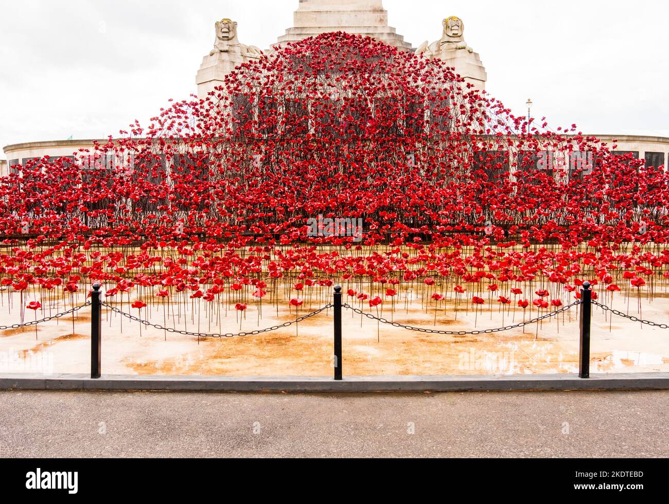 Ceramic poppy memorial hi-res stock photography and images - Alamy