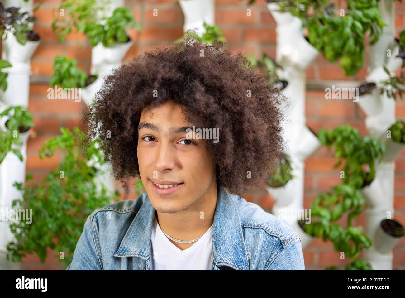 Portrait of beautiful young ethnic Afro-Italians in their 20s, in a ...