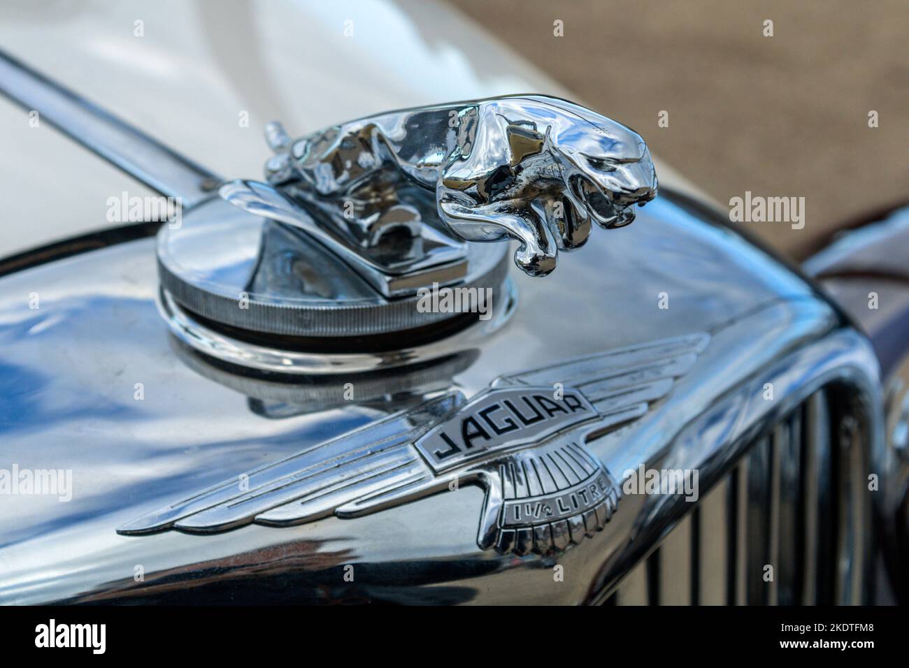 Jaguar bonnet mascot. The 100 at Blackpool 2022 Stock Photo - Alamy