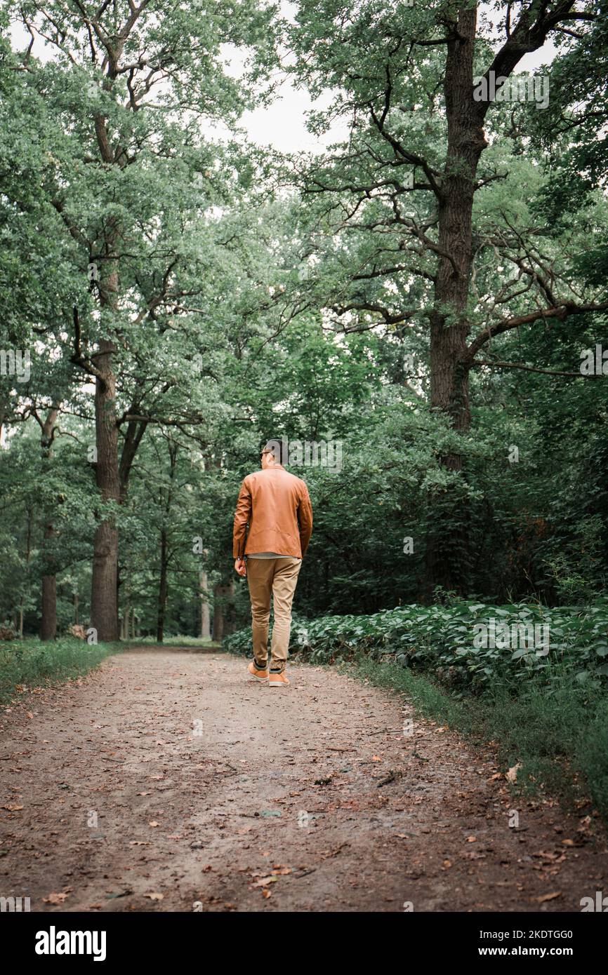 A young handsome guy is walking along a wide road with huge trees Stock ...