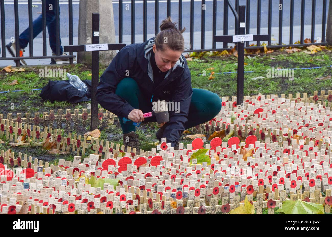 London, England, UK. 8th Nov, 2022. Volunteers have begun planting ...