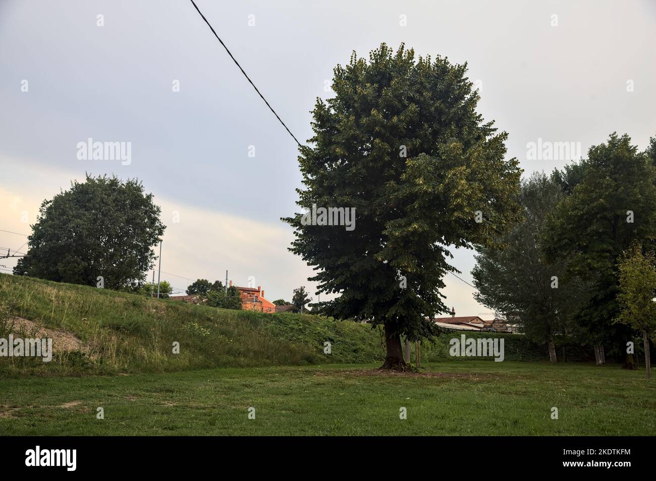Open space with a poplar next to a dirt path and an embankment on a ...