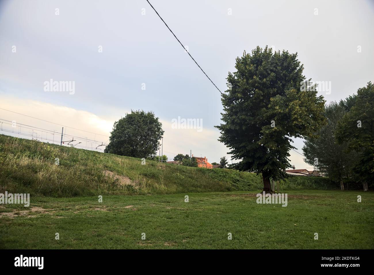 Open space with a poplar next to a dirt path and an embankment on a ...