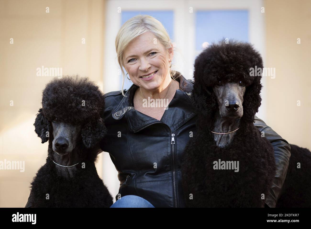 Two poodles side by side hi-res stock photography and images - Alamy