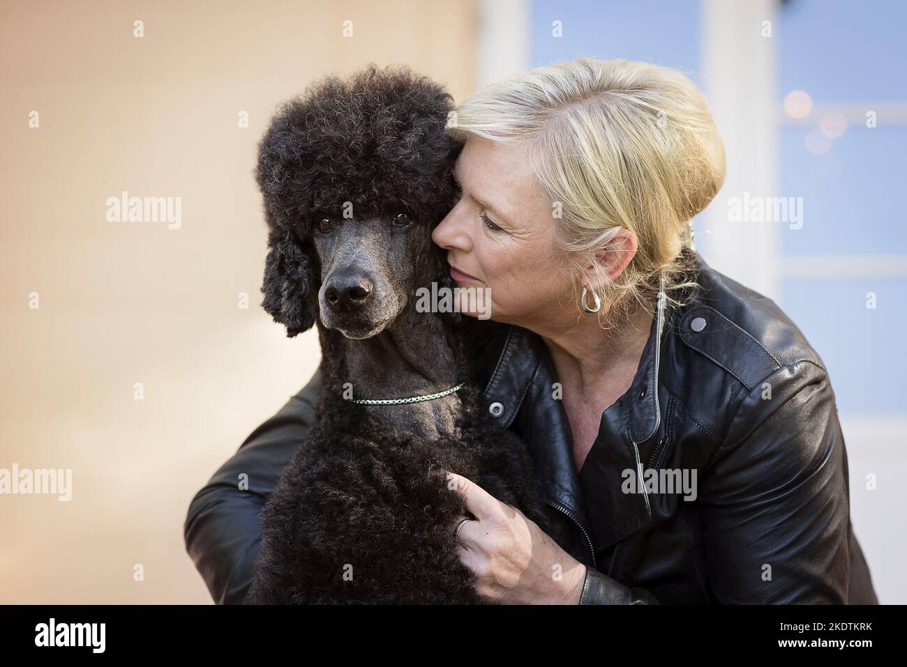 woman with Giant Poodle Stock Photo - Alamy