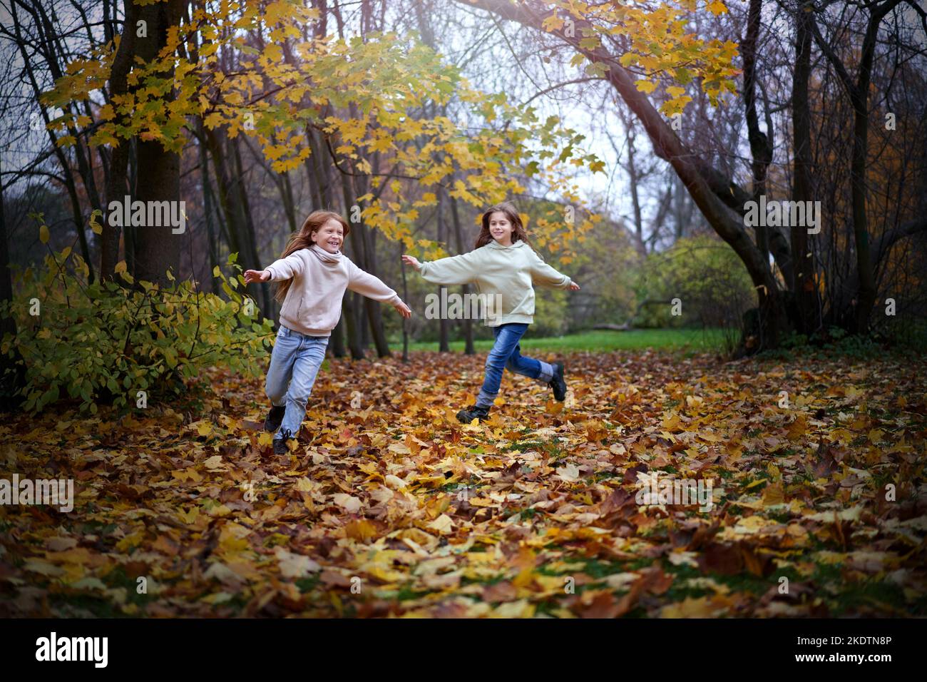 Brother and sister are running around the autumn park with their arms ...