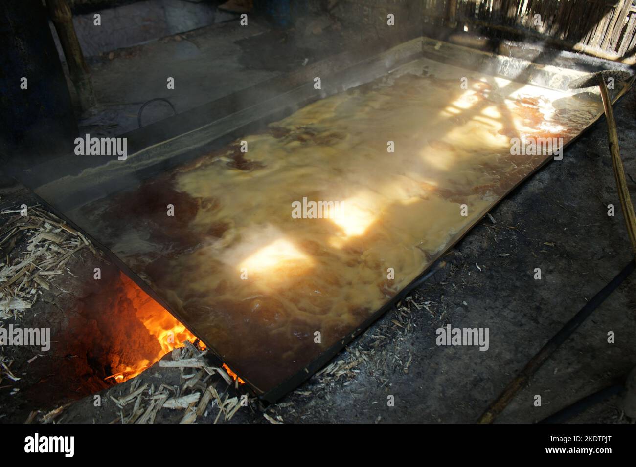 Non Exclusive: Habiganj, Bangladesh. 08 Nov 2022: A sugarcane farmer ...