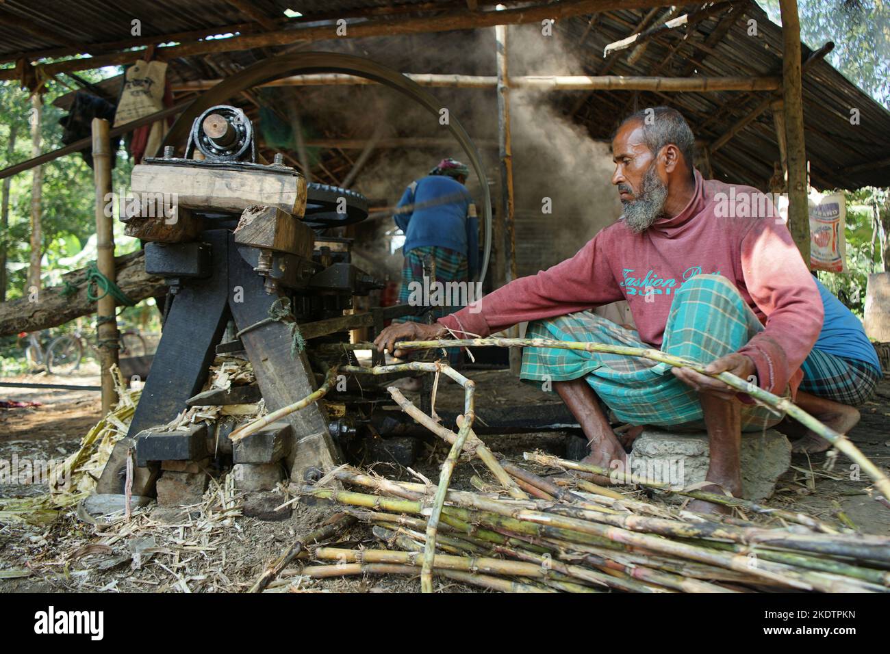 Non Exclusive: Habiganj, Bangladesh. 08 Nov 2022: A Sugarcane farmers ...