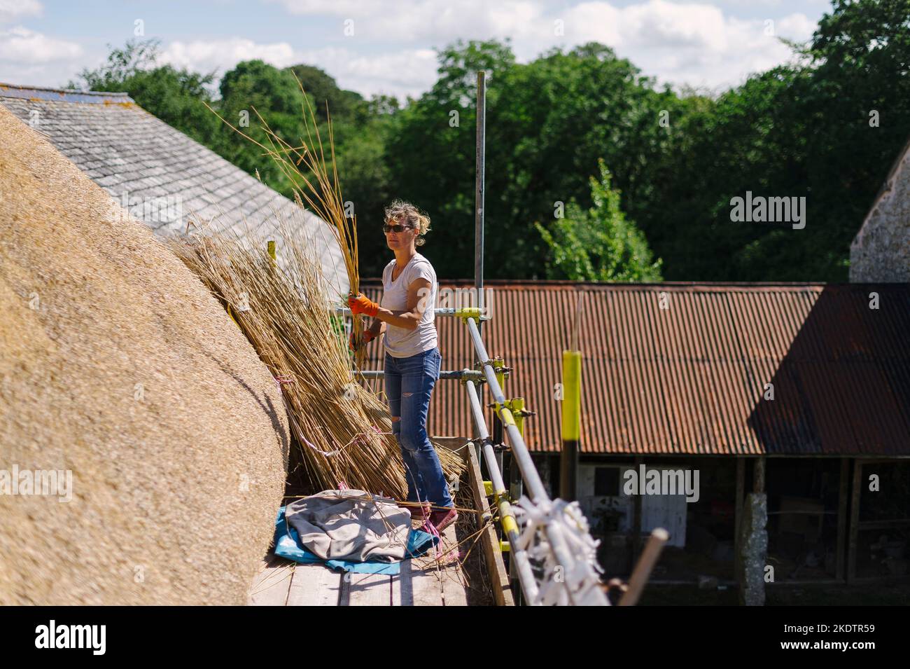 Picture By Jim Wileman - Jane Rush, pictured at Lower Jurston Farm, near Chagford, Devon. Jane ...