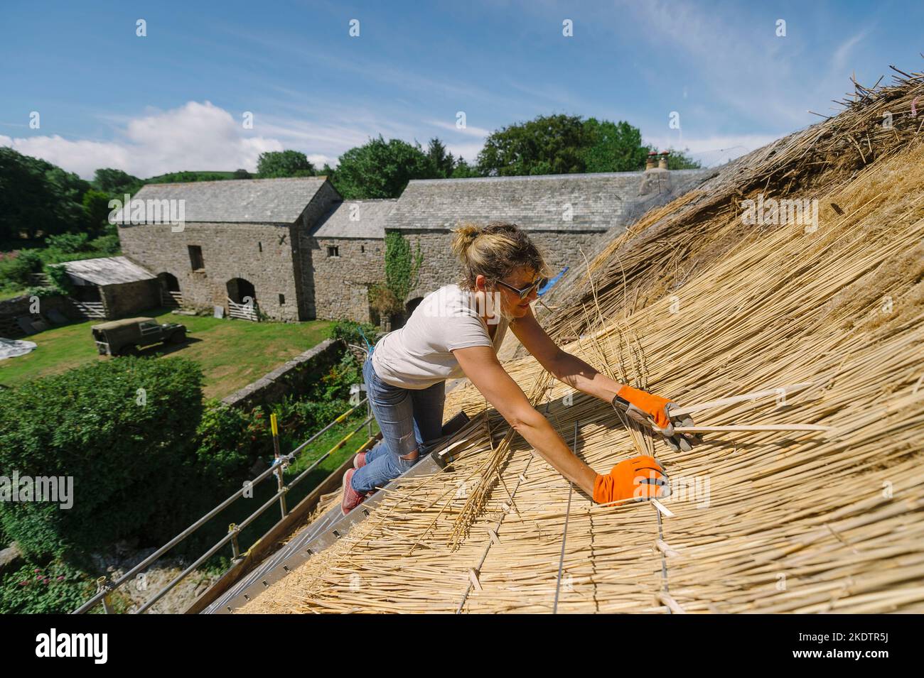 Picture By Jim Wileman - Jane Rush, pictured at Lower Jurston Farm ...