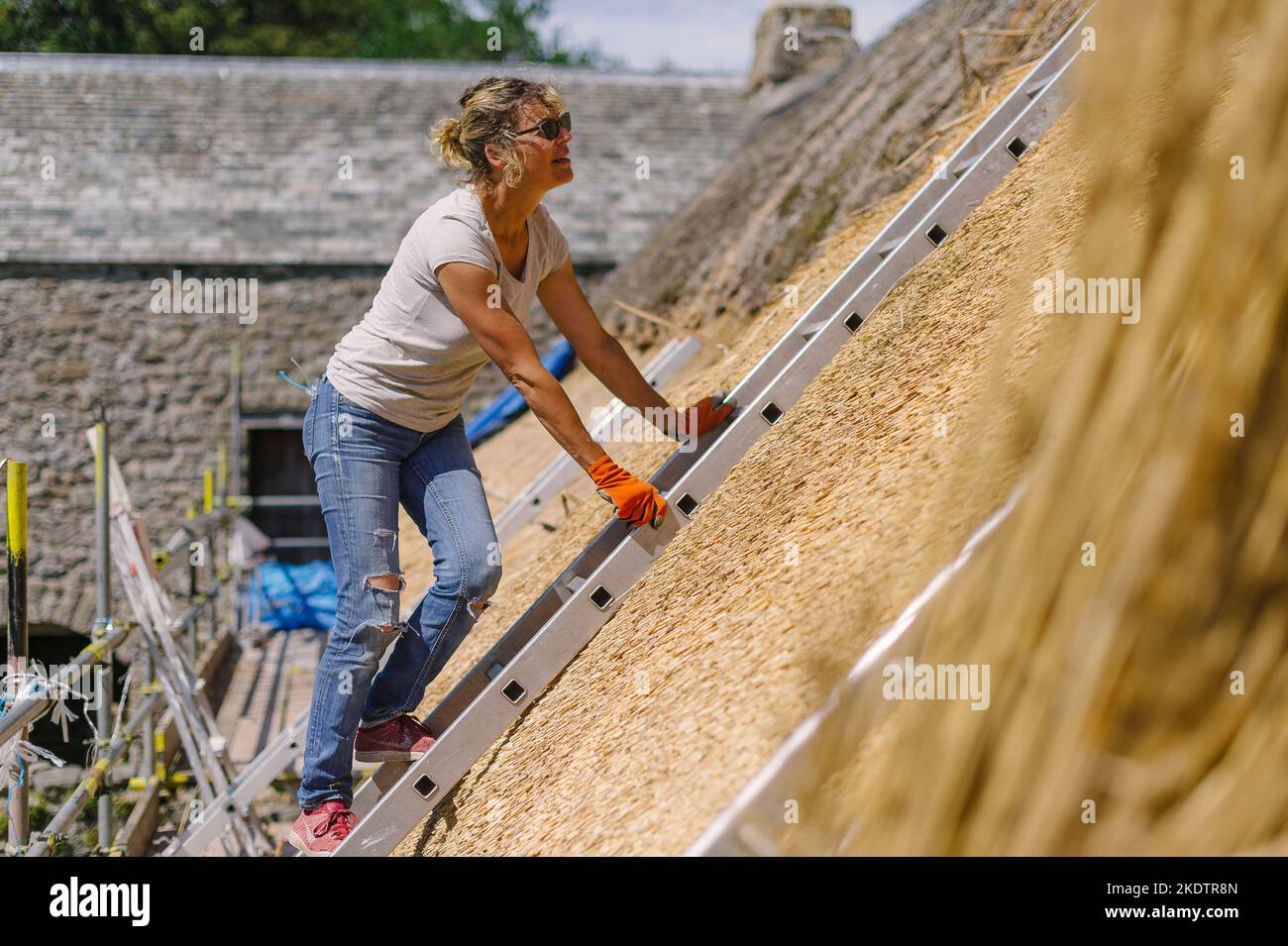 Picture By Jim Wileman - Jane Rush, pictured at Lower Jurston Farm, near Chagford, Devon. Jane ...