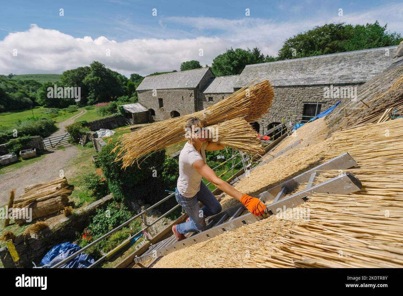 Picture By Jim Wileman - Jane Rush, pictured at Lower Jurston Farm ...