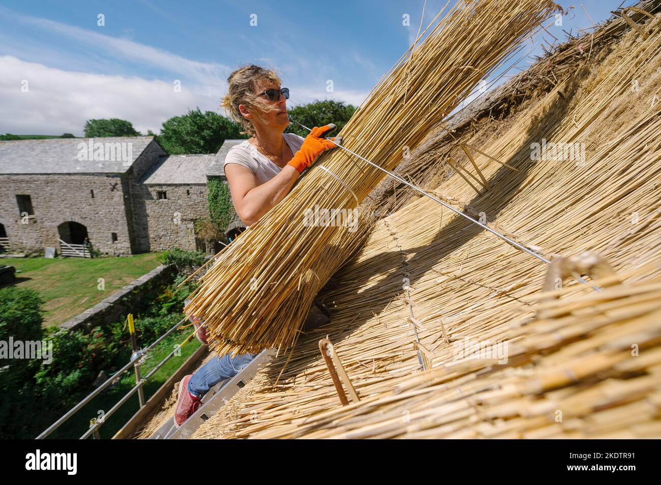 Picture By Jim Wileman - Jane Rush, pictured at Lower Jurston Farm ...