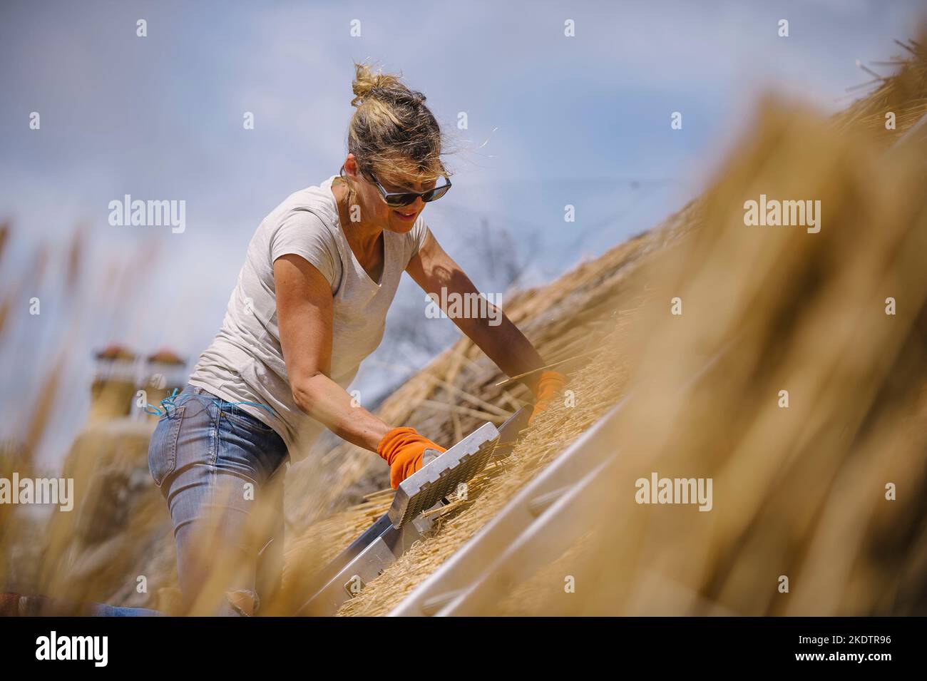 Picture By Jim Wileman - Jane Rush, pictured at Lower Jurston Farm ...