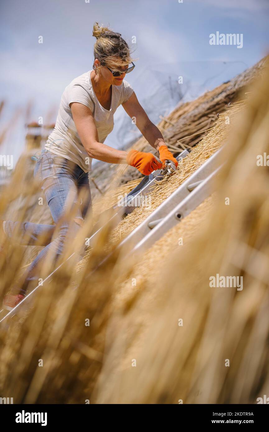 Picture By Jim Wileman - Jane Rush, pictured at Lower Jurston Farm ...