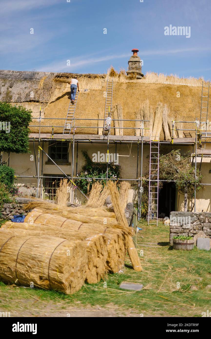 Picture By Jim Wileman - Jane Rush, pictured at Lower Jurston Farm ...