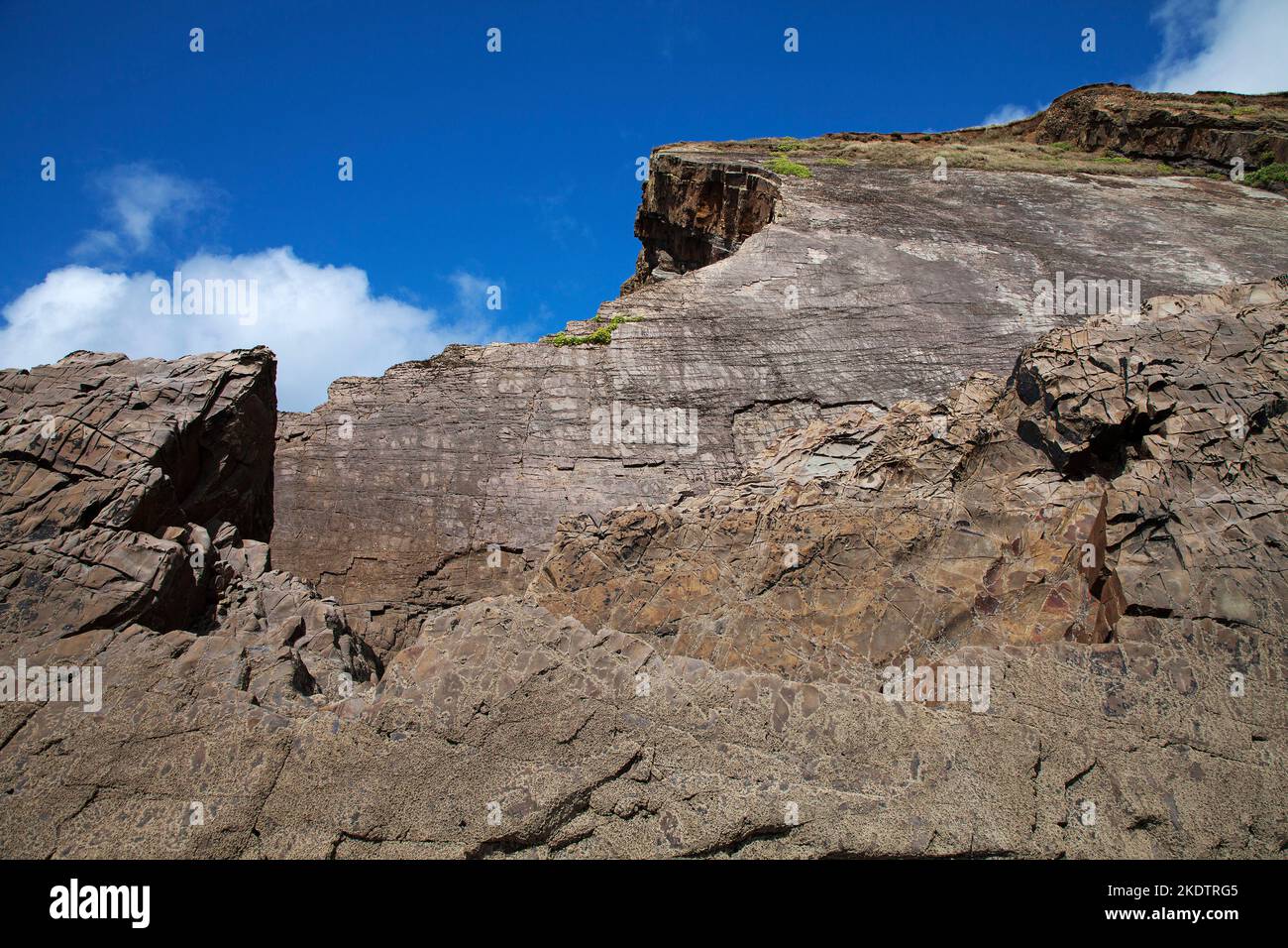 Folded rocks caused by the movement of tectonic plates, Bude formation ...