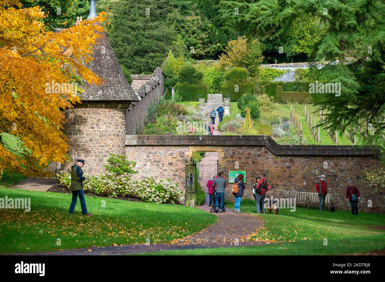 Picture By Jim Wileman - Autumn colours at Knightshayes, National Trust ...
