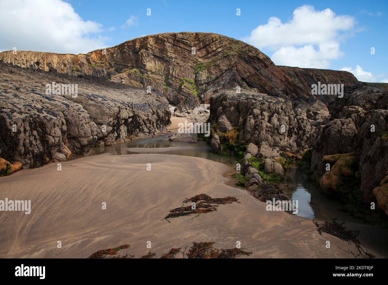 Bude Formation sandstone and mudstone folded rocks caused by the ...