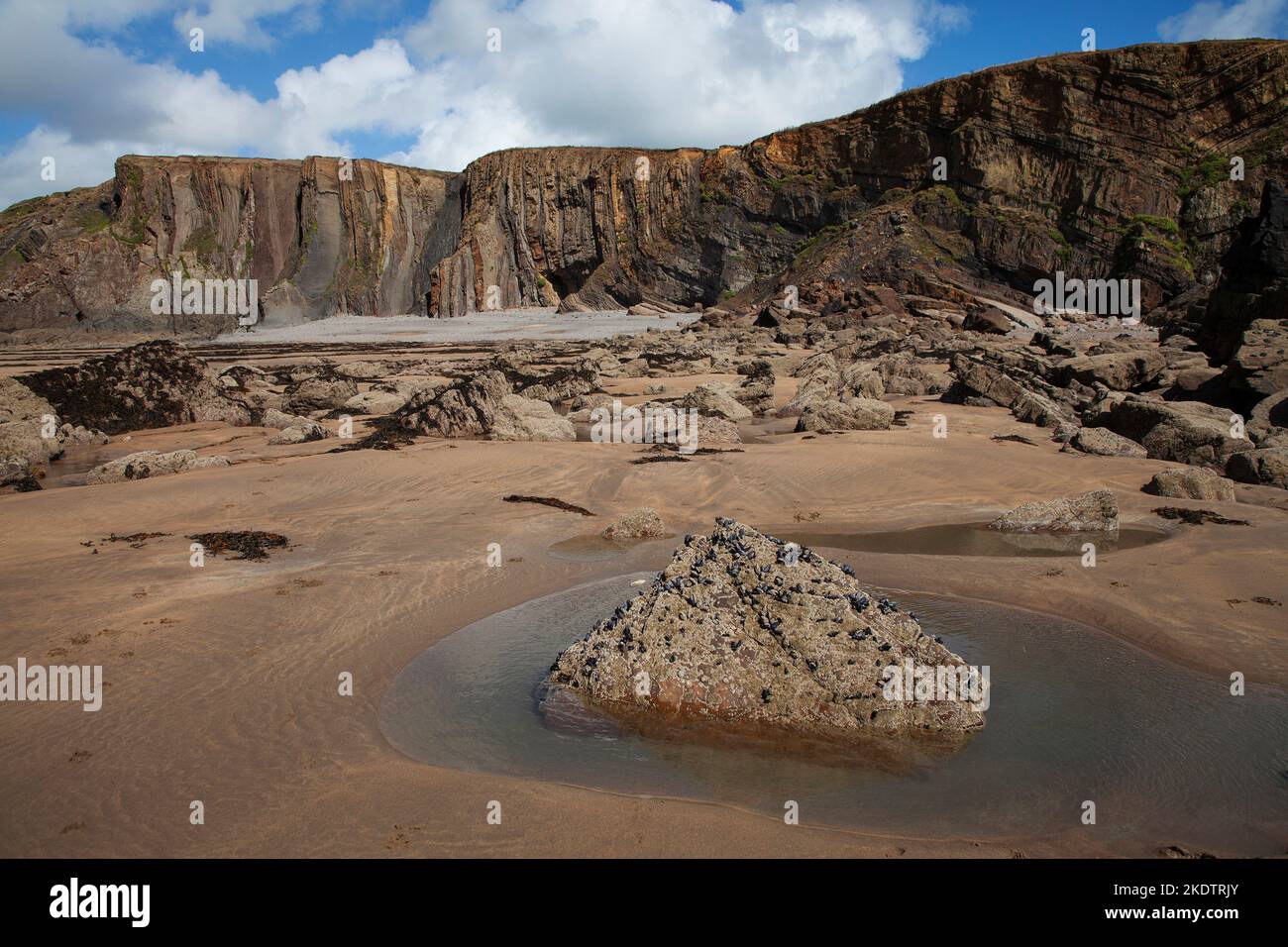 Bude Formation sandstone and mudstone folded rocks caused by the ...