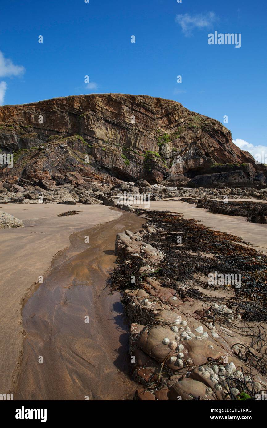 Bude Formation sandstone and mudstone folded rocks caused by the ...
