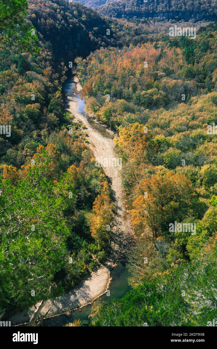 A scenic view of trees changing color and the Buffalo River in the ...