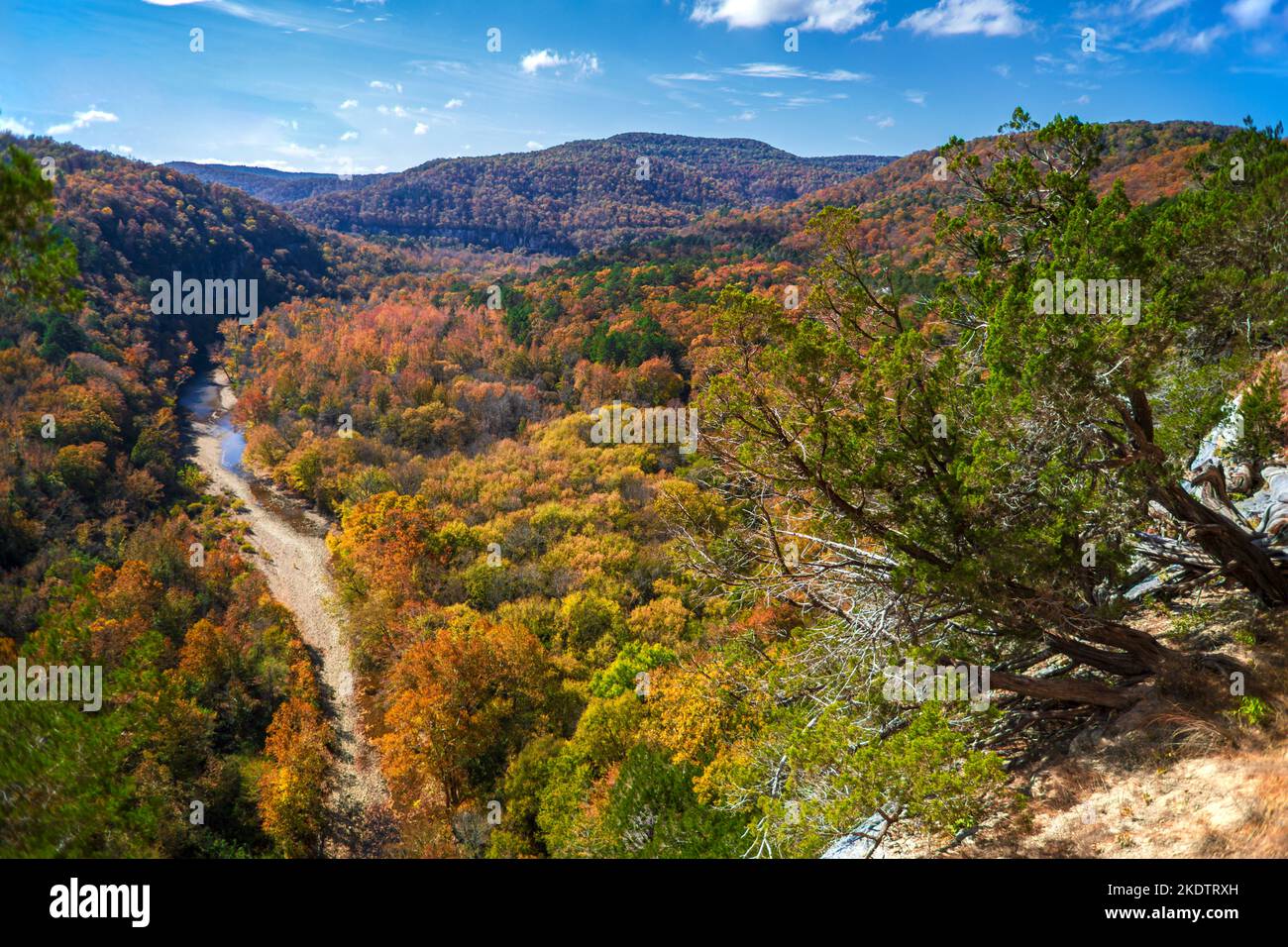 A scenic view of trees changing color and the Buffalo River in the ...