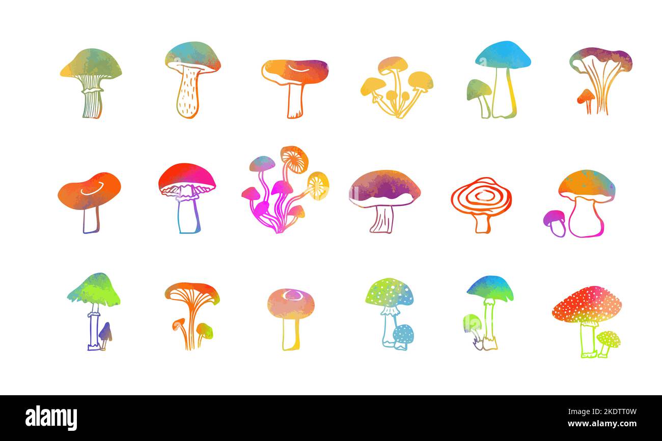 Set of different colorful, mushrooms . Vector illustration Stock Vector ...