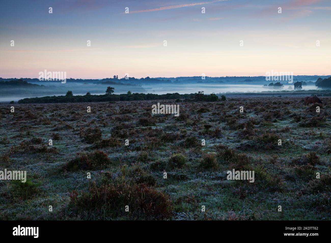 Matley ridge hi-res stock photography and images - Alamy