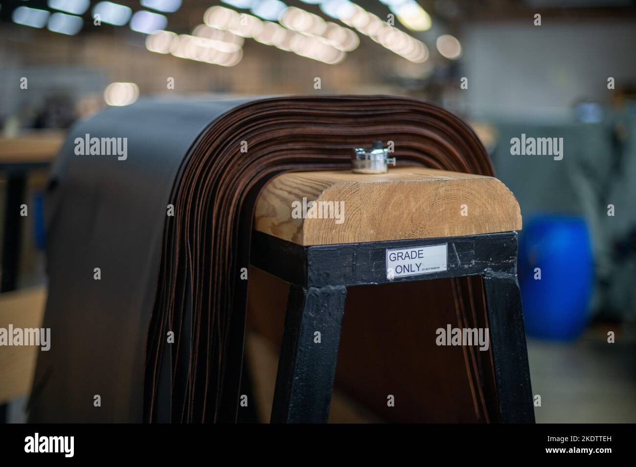 Picture Jim Wileman - Pittards leather goods factory, in Yeovil ...