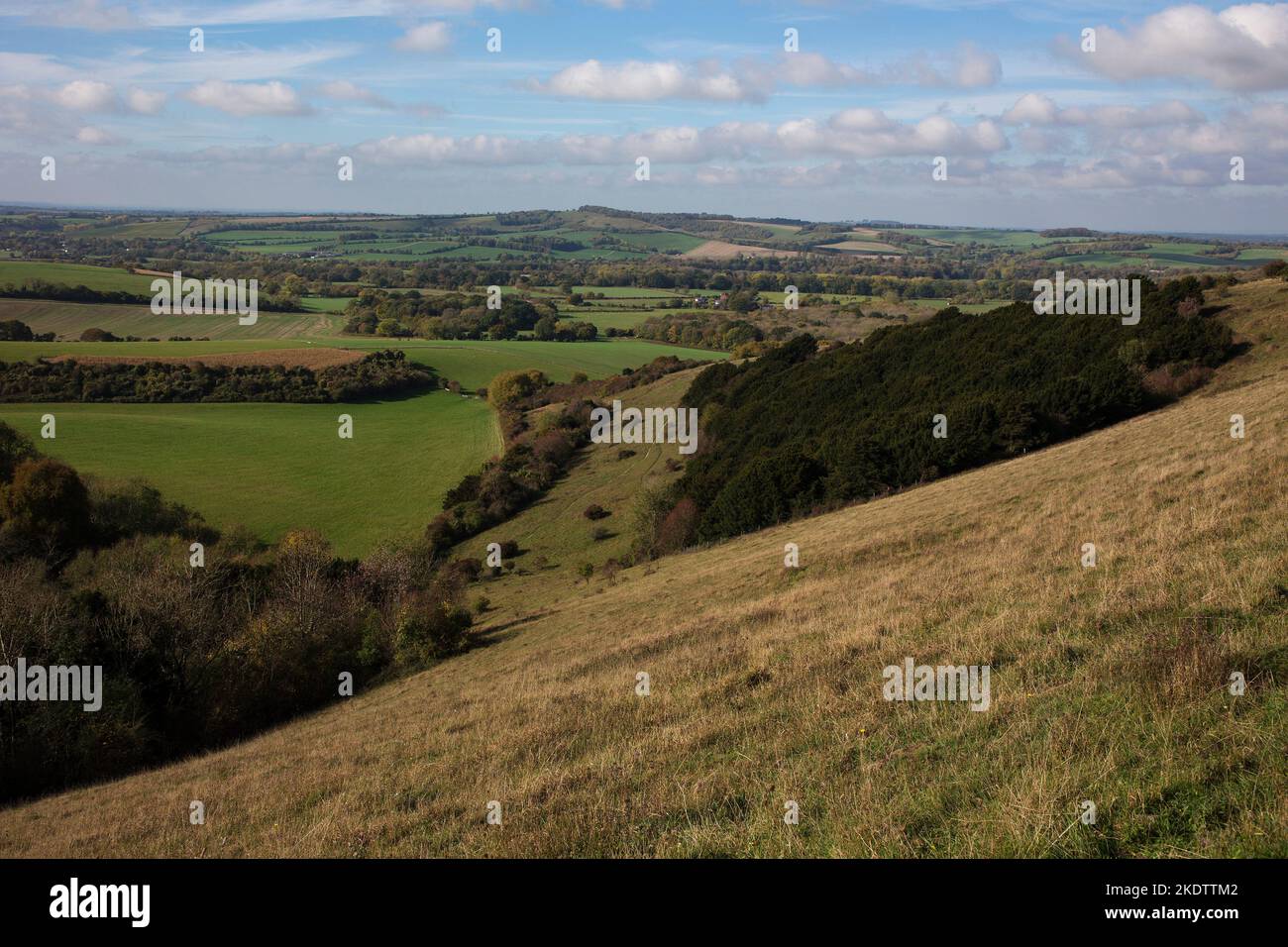 Towards west meon hi-res stock photography and images - Alamy