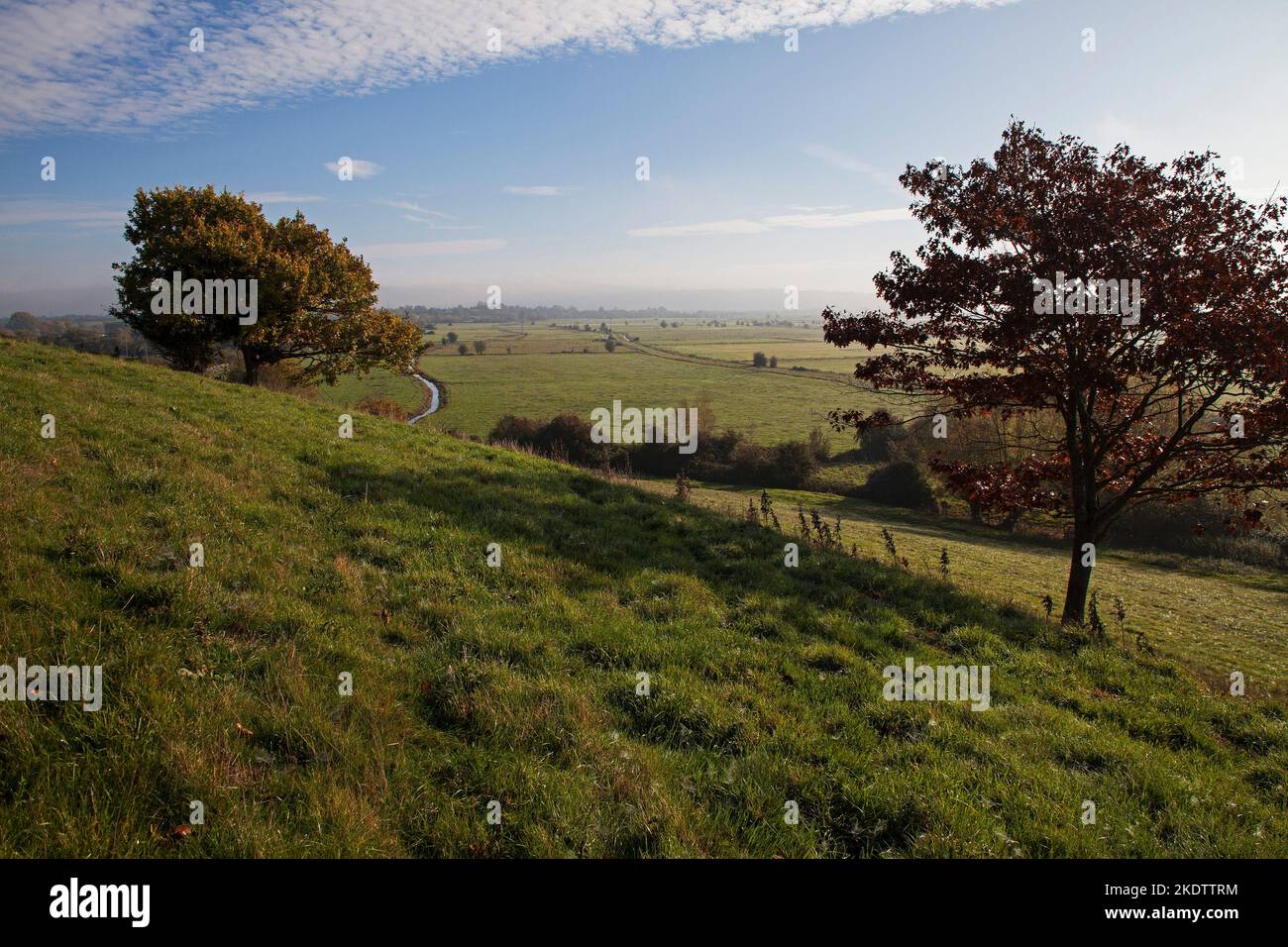 Southlake Moor and draining ditch with Hawthorn Cragaegus monogyna and ...