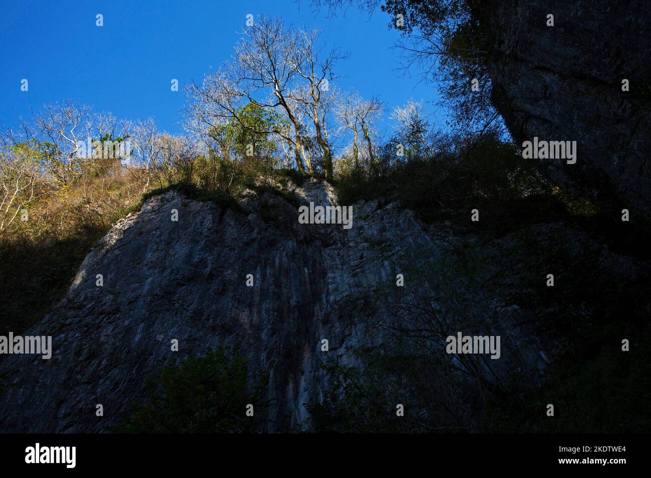 Ebbor gorge hi-res stock photography and images - Alamy