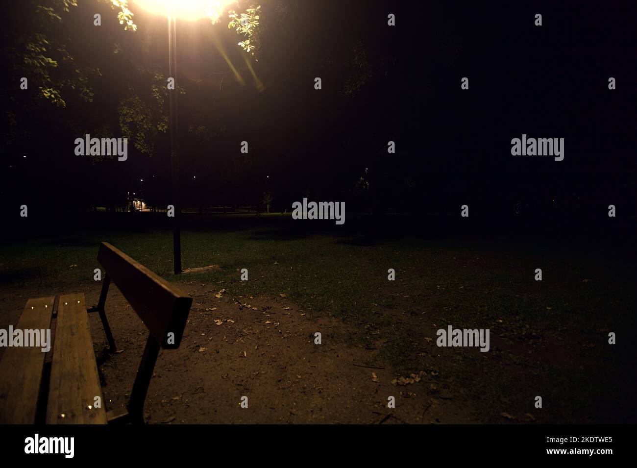 Wooden bench in a park under a street light at night Stock Photo - Alamy
