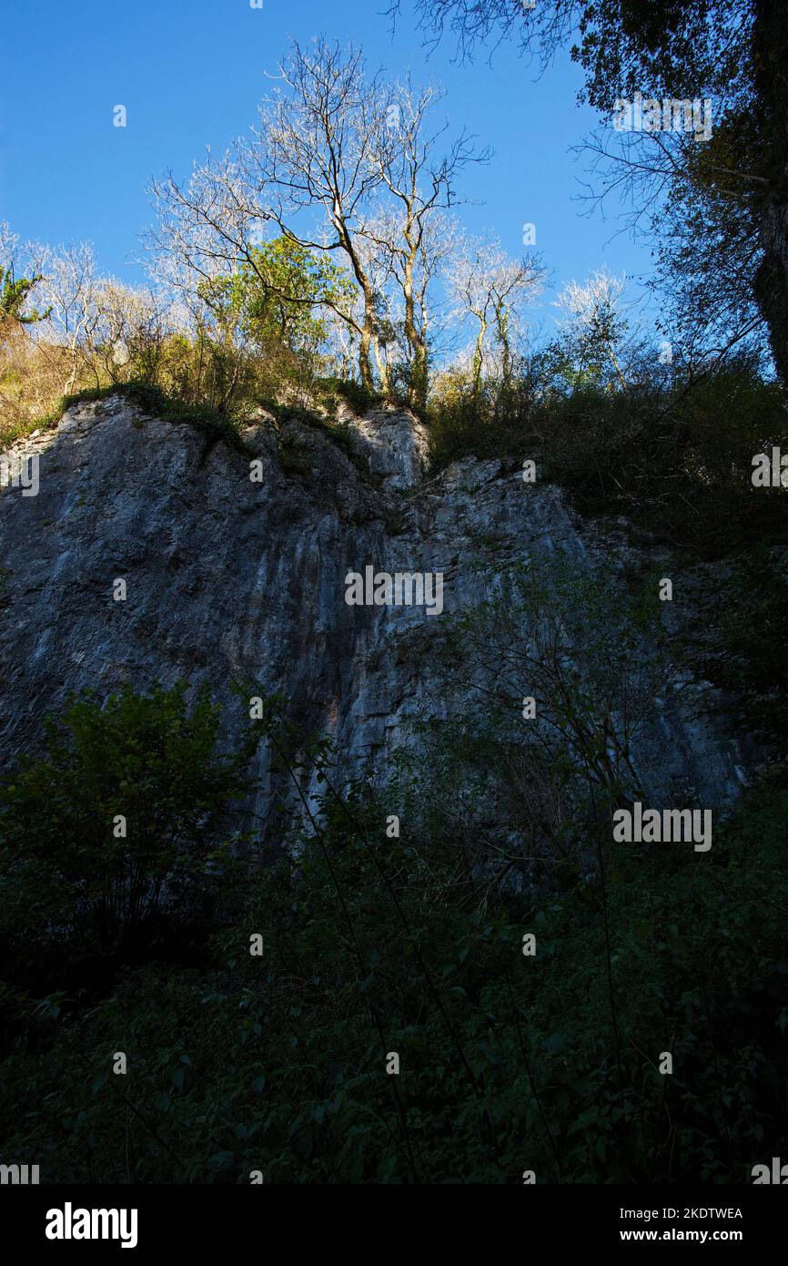 Ebbor gorge hi-res stock photography and images - Alamy