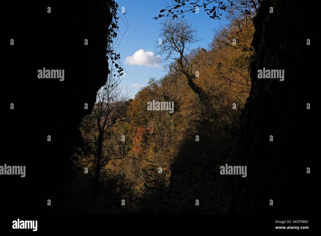 Ebbor gorge hi-res stock photography and images - Alamy