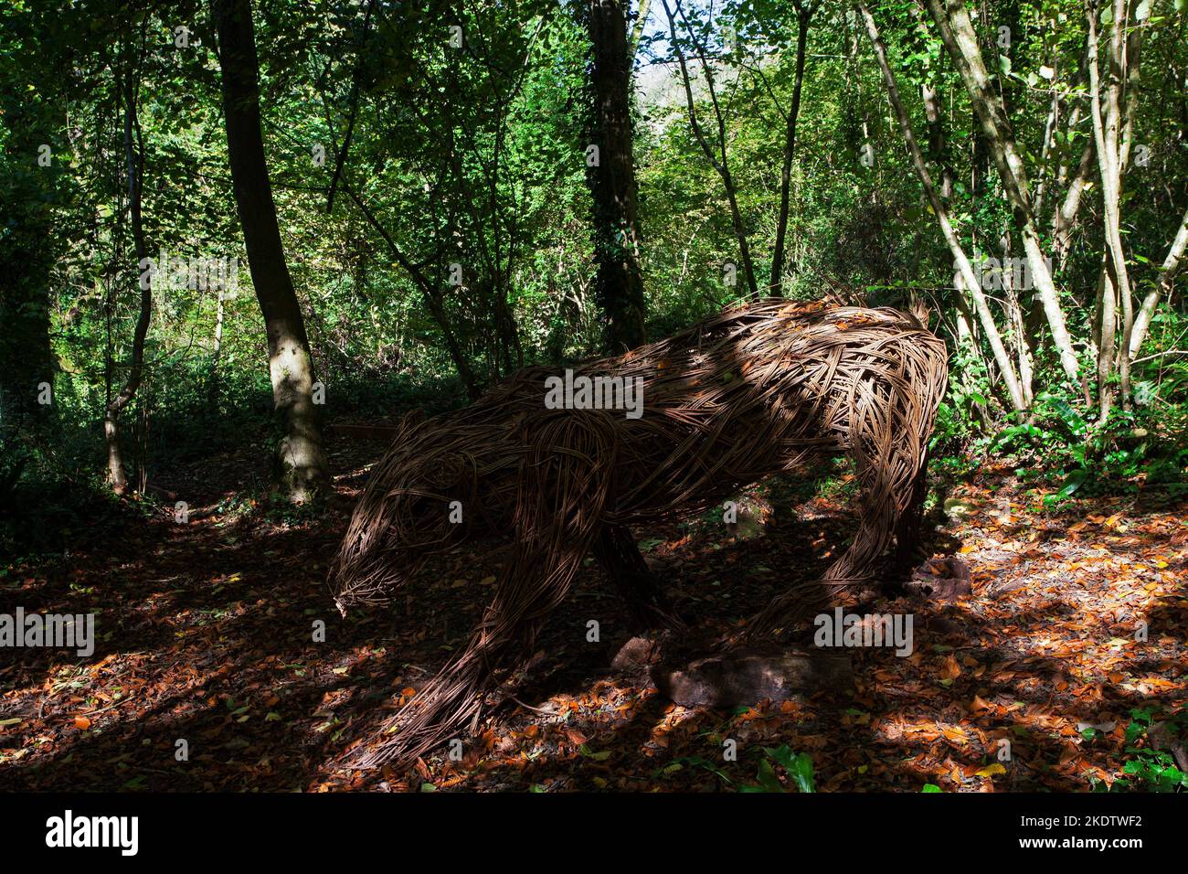 Willow sculpture in deciduous woodland, Ebbor Gorge National Nature ...