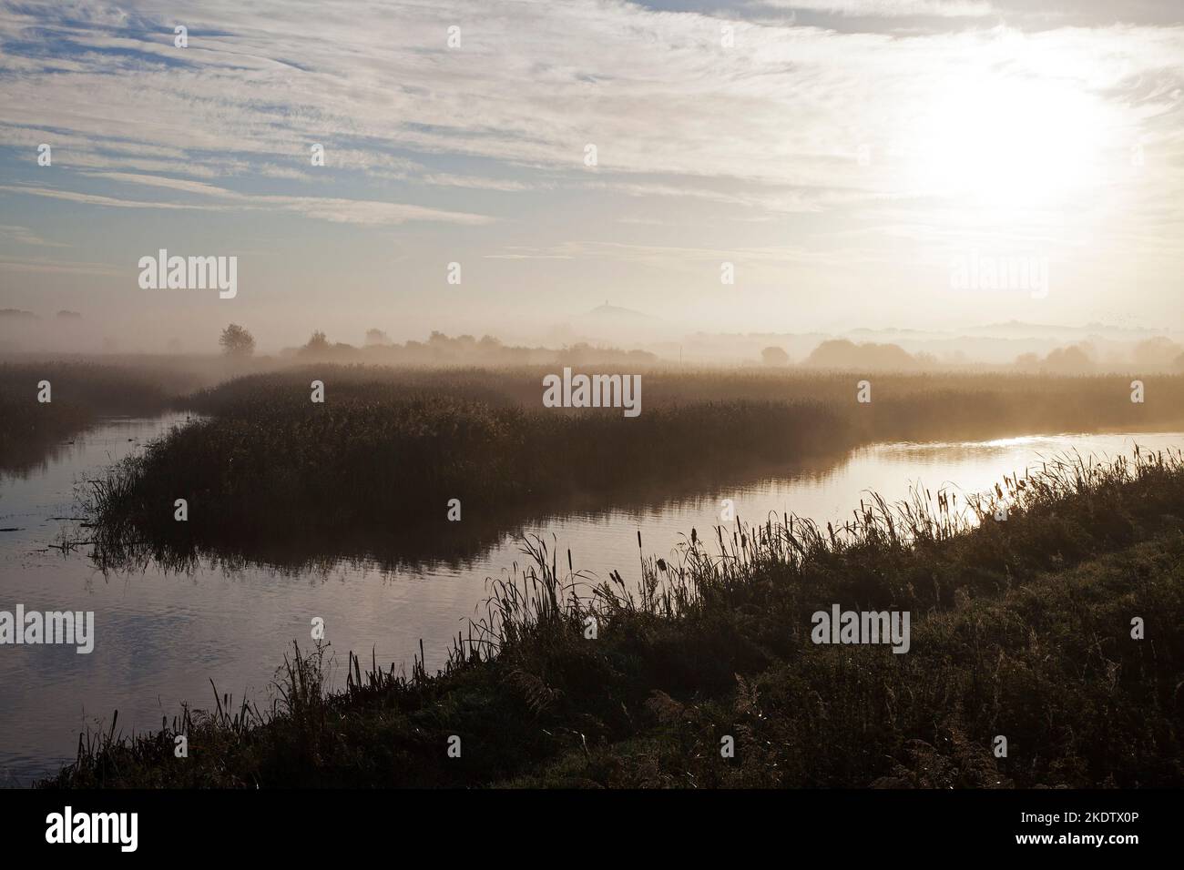 Misty sunrise over a reedbed pool, Ham Wall RSPB Reserve, Avalon ...