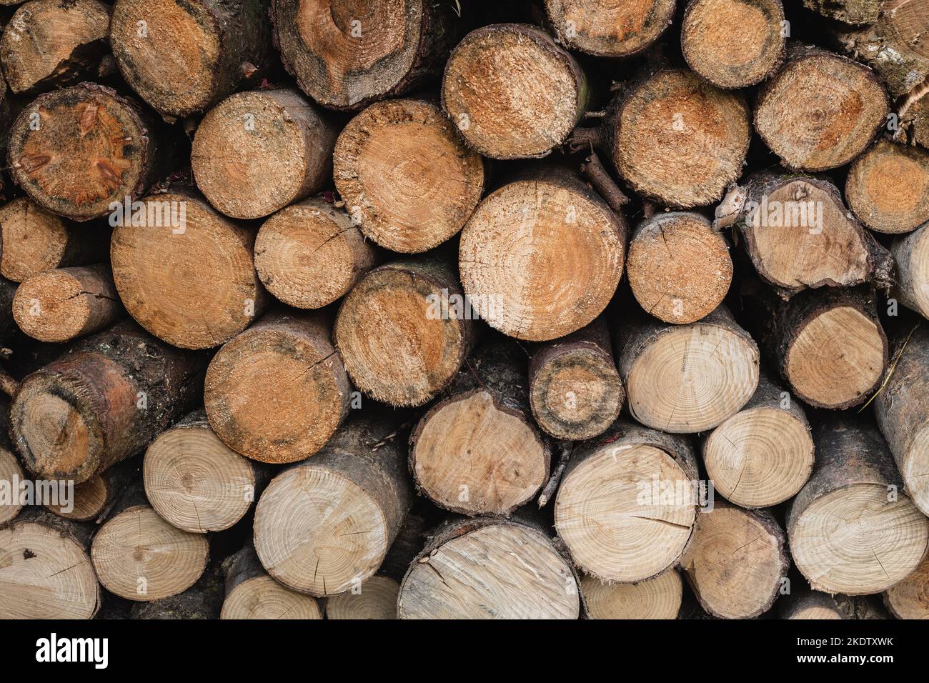 Stacked wood for fire full frame Stock Photo - Alamy