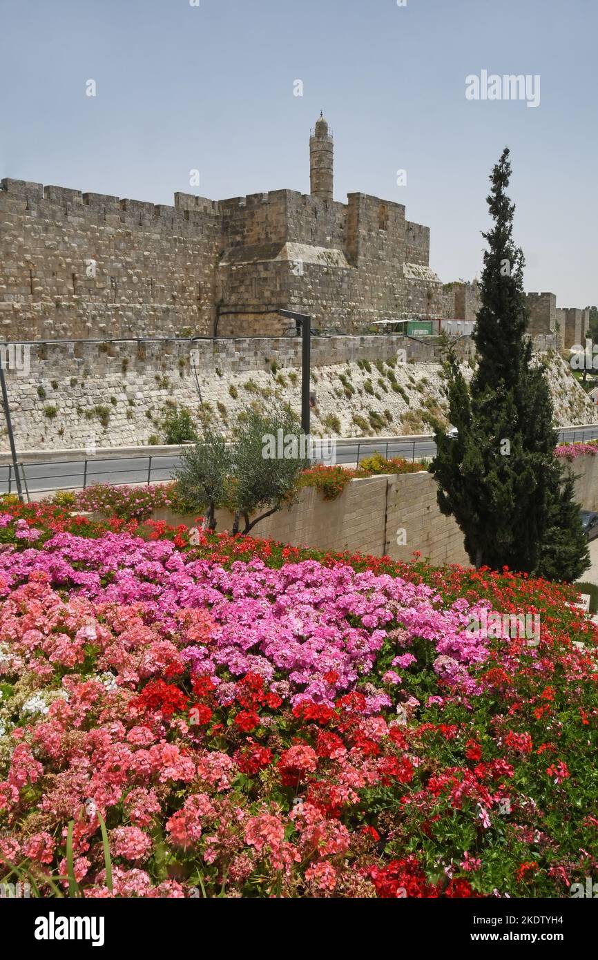 David citadel, Jerusalem, Israel Stock Photo - Alamy