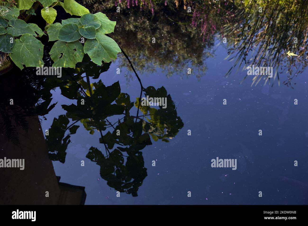 Poplar branch tourism hi-res stock photography and images - Alamy