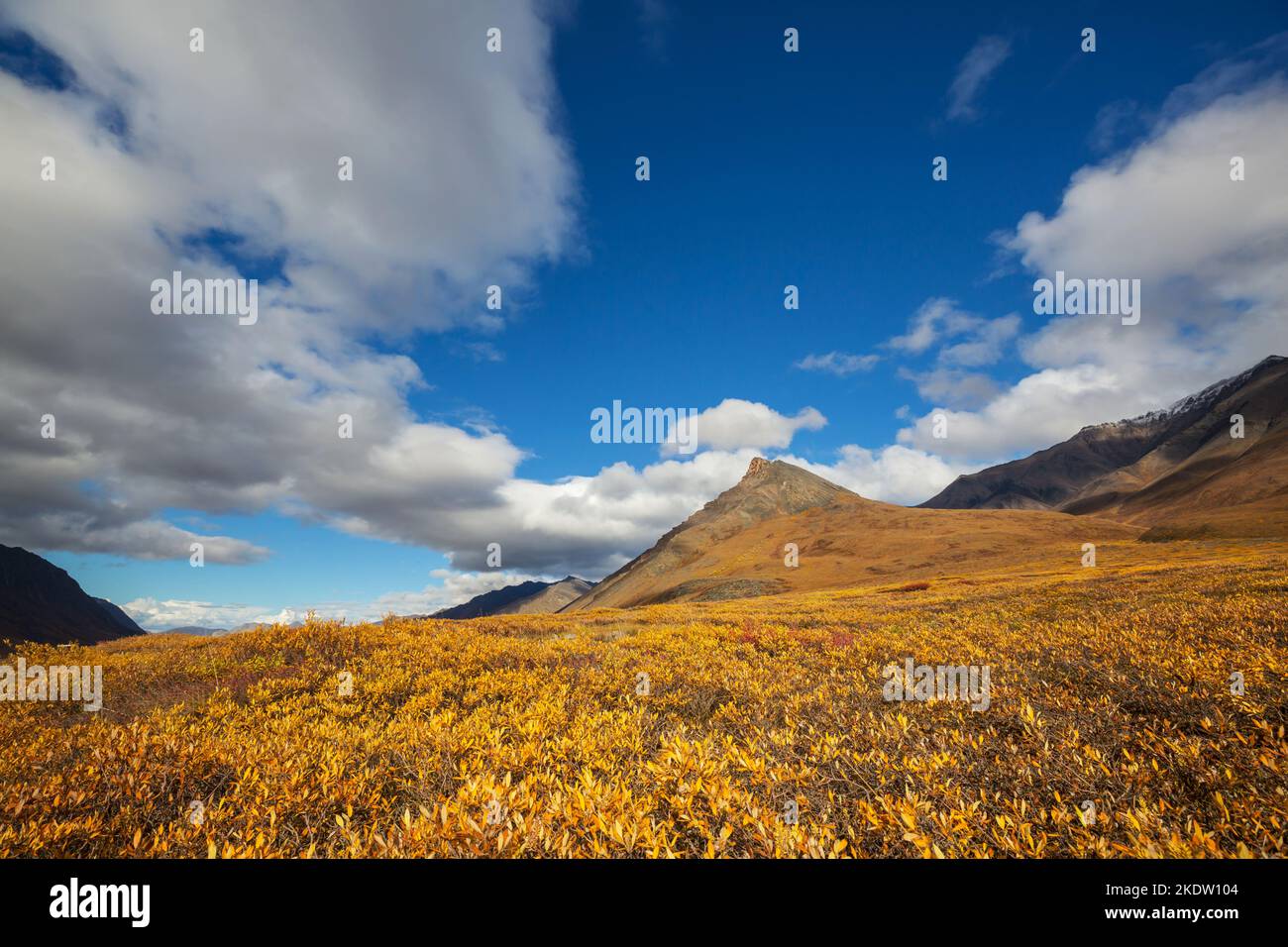 Tundra landscapes above Arctic circle in autumn season. Beautiful ...