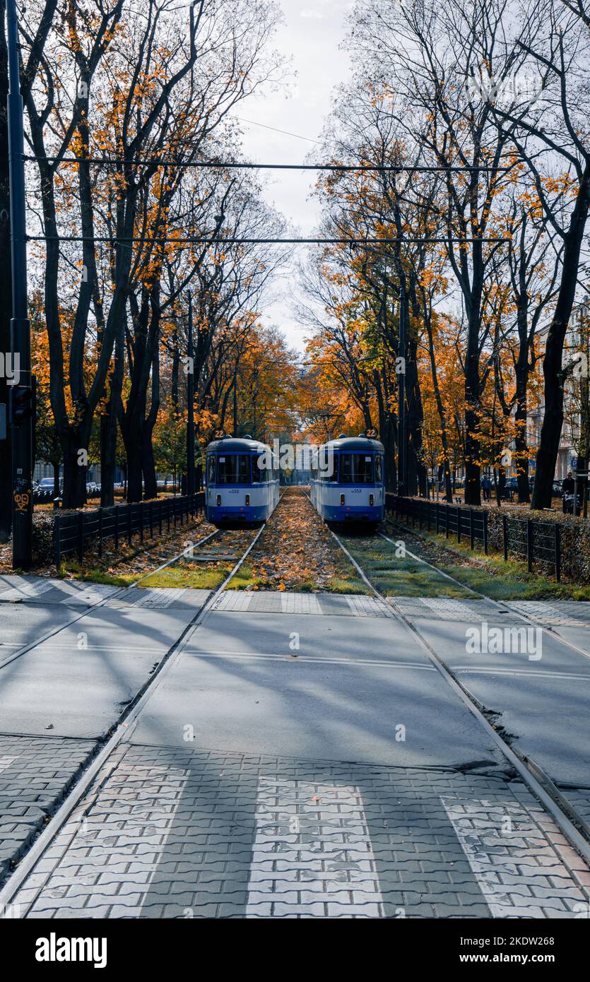 two trams in line on tracks with autumn leaves Stock Photo - Alamy