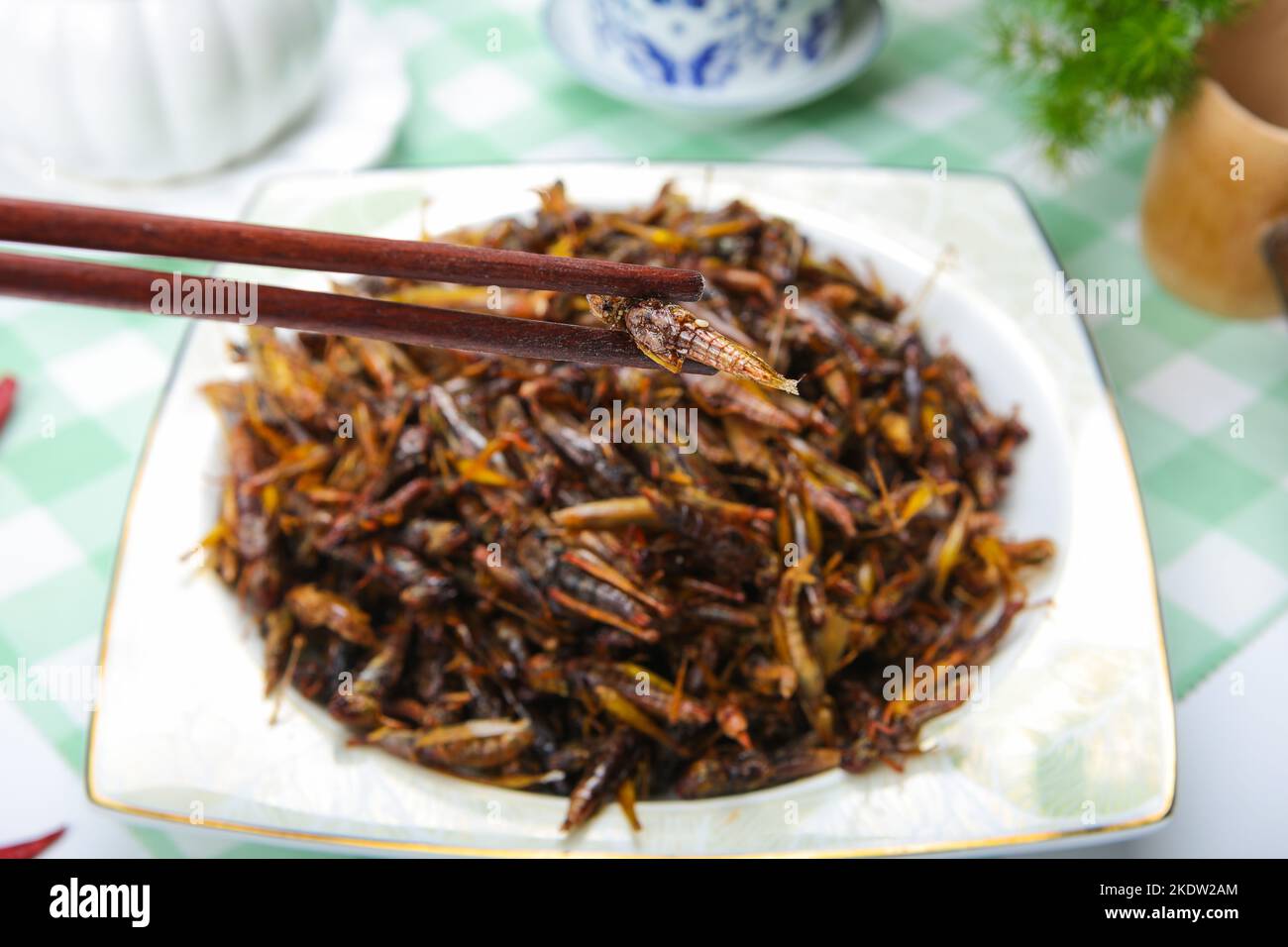 A plate of Fried grasshoppers Stock Photo - Alamy