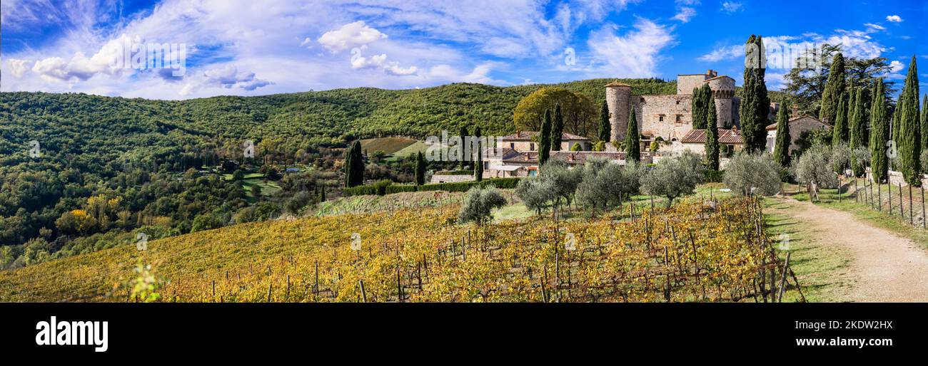 Italy, Toscana landscape. Scenic vineyards of Tuscany. view of medieval ...