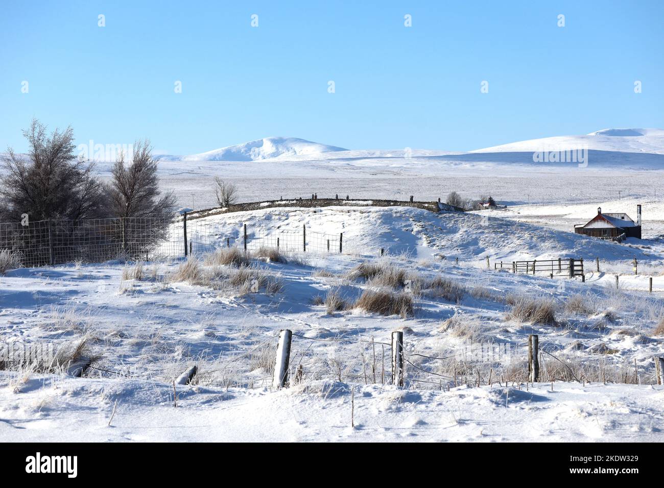 Minus ten degrees hi-res stock photography and images - Alamy